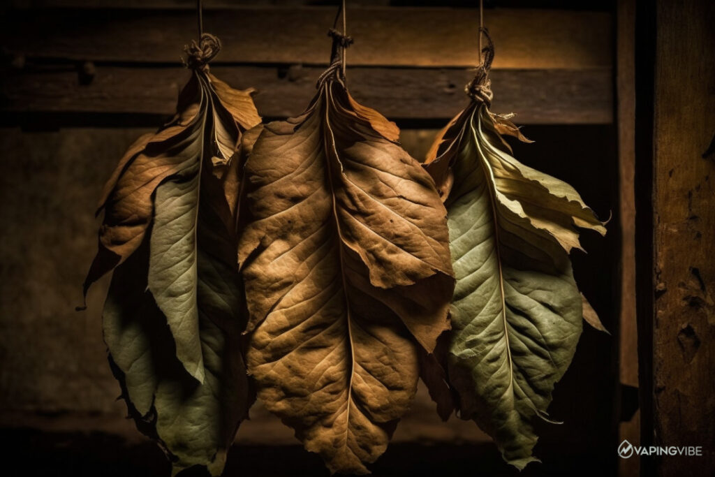 Vapor vs Smoke – What's the difference anyway?