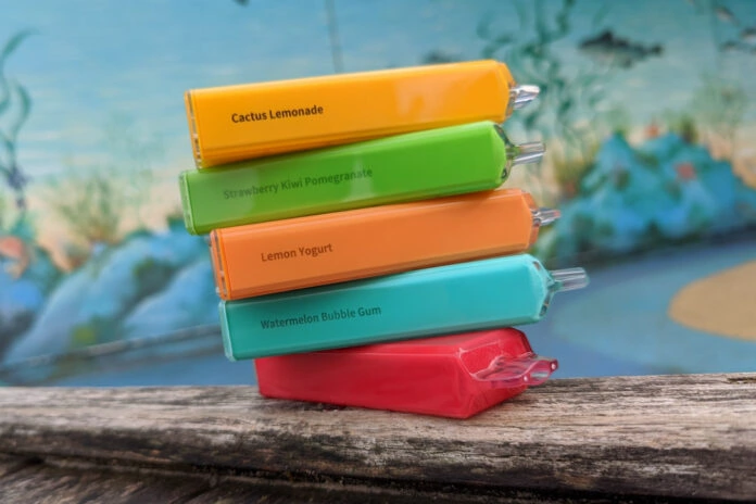 Geek Bar S6000 Disposables | Review