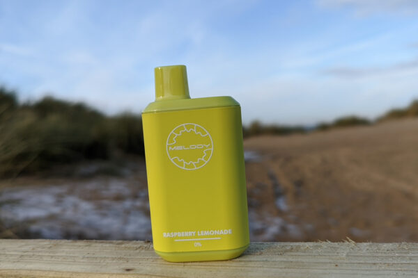 TryMelody Melody Max Pro Disposable | Review